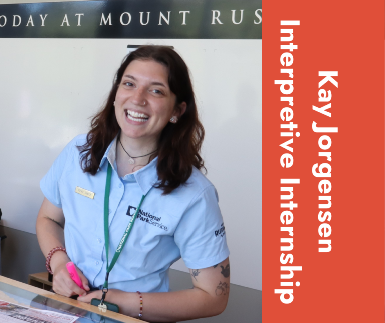 Now Accepting Internship Applications | Mount Rushmore Society